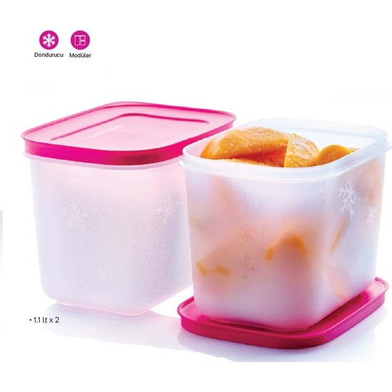 Tupperware Alaska Set ( 2.5 Lt-1.1 Lt ) Buzluk Saklama Kabı Fiyatı
