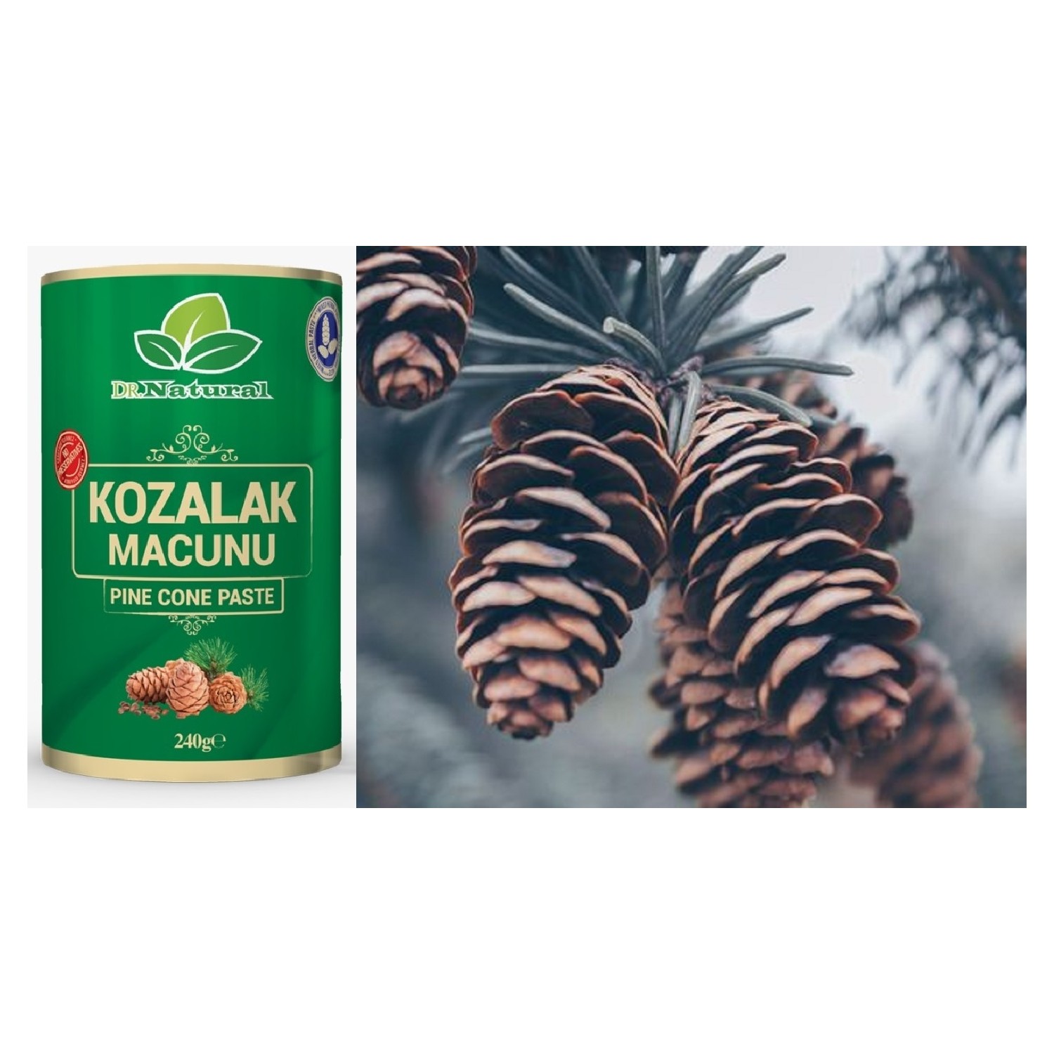 Dr. Natural Kozalak Macunu Çam Kozalağı Macun 240 gr Fiyatı