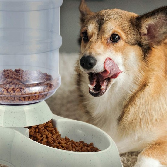 Hanyang Kremsi-Beyaz Su 3.8l Yerçekimi Köpek Su Sebili Fiyatı
