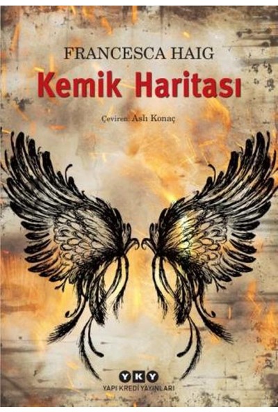 Kemik Haritası