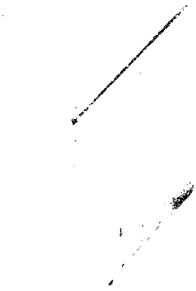 Audi A6/S6 Tüm Modeller İçin Kontak Rolesi