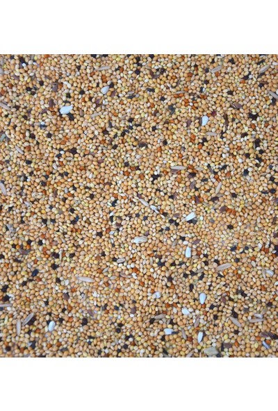 Çimen Karışık Muhabbet Kuş Yemi 5 Kg
