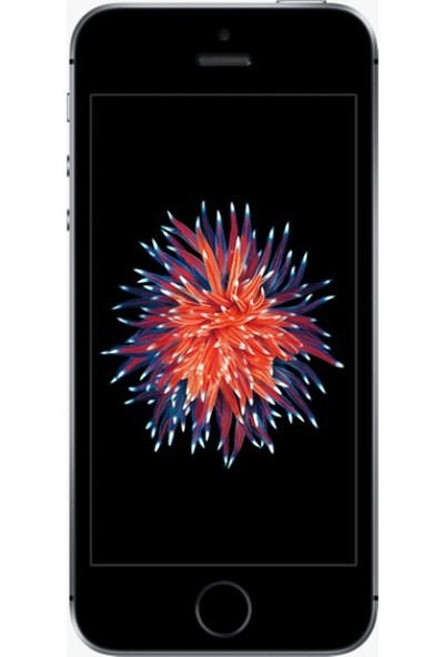 Apple iPhone SE 32 GB (Apple Türkiye Garantili) Apple iPhone SE 32 GB (Apple Türkiye Garantili)