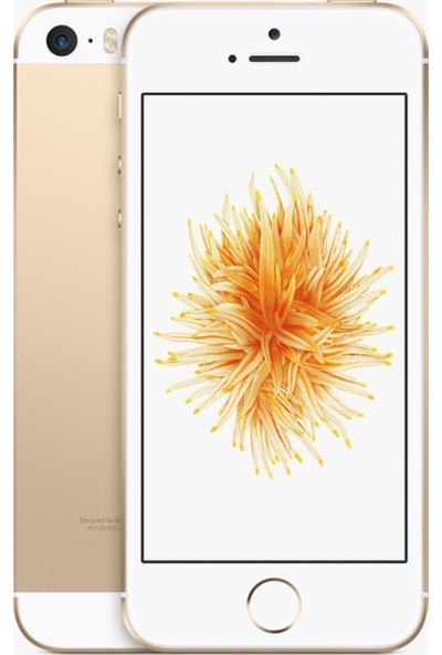 Yenilenmiş Apple iPhone SE 32 GB 1.Nesil (12 Ay Garantili)