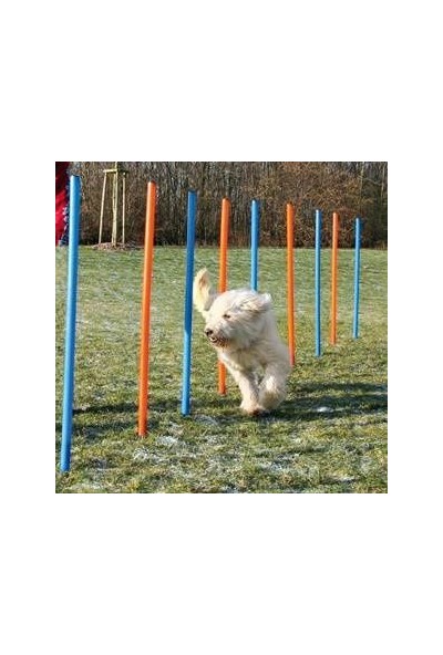Trixie Köpek Agility Eğitim Direkleri,12ad,115×ø3cm. Trixie Köpek Agility Eğitim Direkleri,12ad,115×ø3cm.