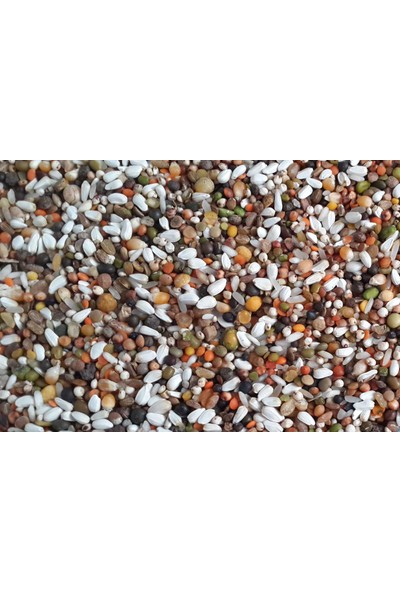 Çimen Güvercin Yemi Karışık 25Kg Çimen Güvercin Yemi Karışık 25Kg