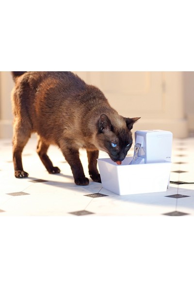Petsafe Aqua Cube Su Pınarı Petsafe Aqua Cube Su Pınarı