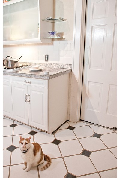 Petsafe Pawz Away® Mini Pati Engelleyici