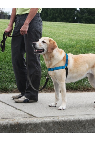Deluxe Easy Walk™ Harness Mavi Köpek Göğüs Tasması - Large ( 66 - 91 cm) Deluxe Easy Walk™ Harness Mavi Köpek Göğüs Tasması - Large ( 66 - 91 cm)