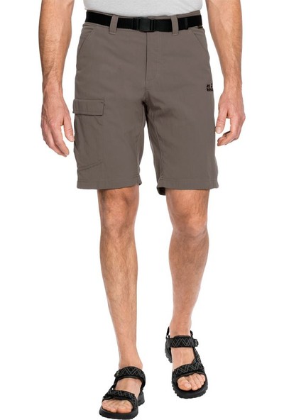 Jack Wolfskin Erkek Şortu 1503781-Sıltstone Hoggar Shorts Kahverengi