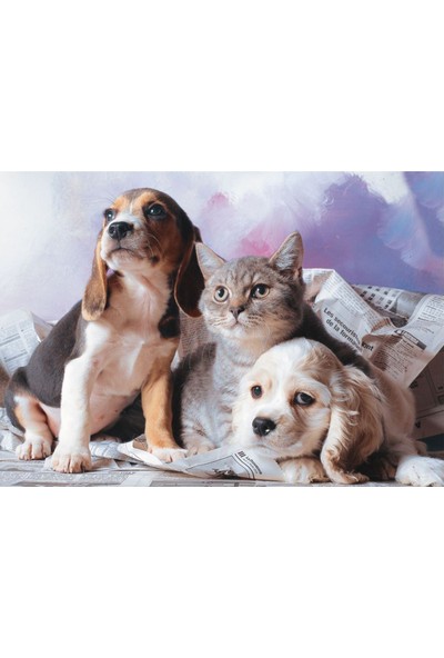 Puzz 1000 Parça Kedi Köpek Kardeşliği Yapboz Puzz 1000 Parça Kedi Köpek Kardeşliği Yapboz