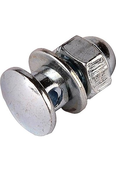 Vona Fren Delikli Vida Vona Fren Delikli Vida