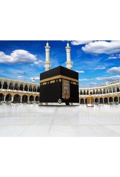 Womb Hobby Kabe Sayılarla Boyama Seti 40 x 50 cm Tuvale Gerili