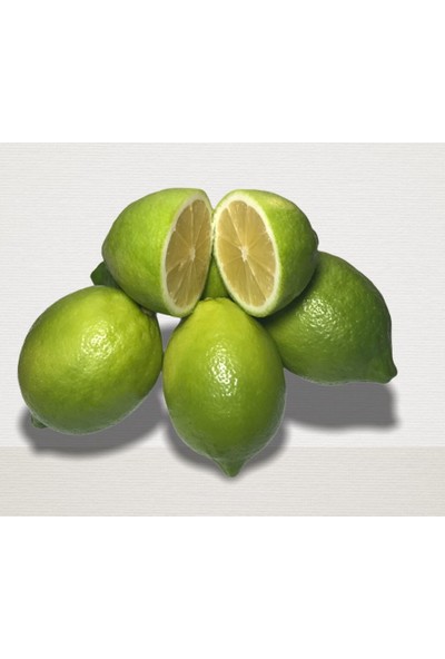 Dökme Ürünler Evimde Bahçem Taze Meyve Yeşil Limon Net 6 kg Dökme Ürünler Evimde Bahçem Taze Meyve Yeşil Limon Net 6 kg