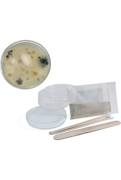 Liva Mikroorganizma Yetiştirme Deney Seti