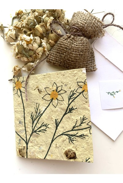 Kemahlı Design Papatya Kokulu Küçük Kutlama Tebrik Kartı Seti Kemahlı Design Papatya Kokulu Küçük Kutlama Tebrik Kartı Seti