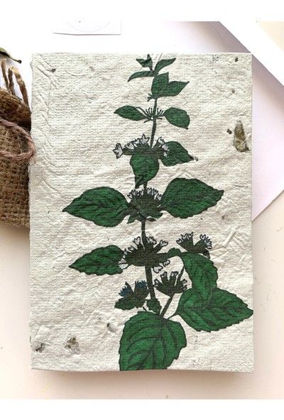 Kemahlı Design Kemahlı Design Melisa Kokulu Büyük Kutlama Tebrik Kartı Seti Kemahlı Design Kemahlı Design Melisa Kokulu Büyük Kutlama Tebrik Kartı Seti