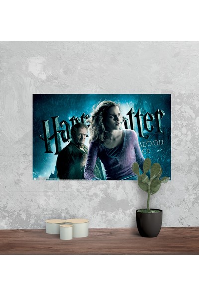 Harry Potter Film Tasarımlı A4 Poster Harry Potter Film Tasarımlı A4 Poster
