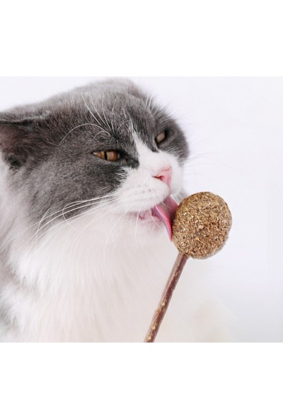 Duomini Catnipli Lolipop Kedi Oyuncağı