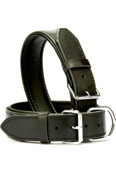 Desingshop Deri Köpek Tasması 2,5X56 cm Siyah