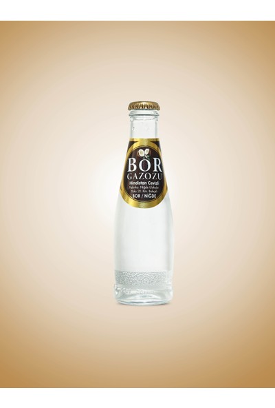 Bor 200 cc Hindistan Cevizi Aromalı Gazoz 6*4