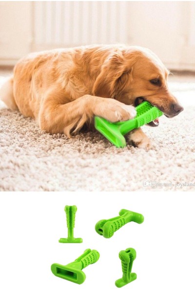 Rüzgar Köpek Diş Temizleyici ve Kaşıyıcı Sağlıklı Küçük Boy Oyuncak