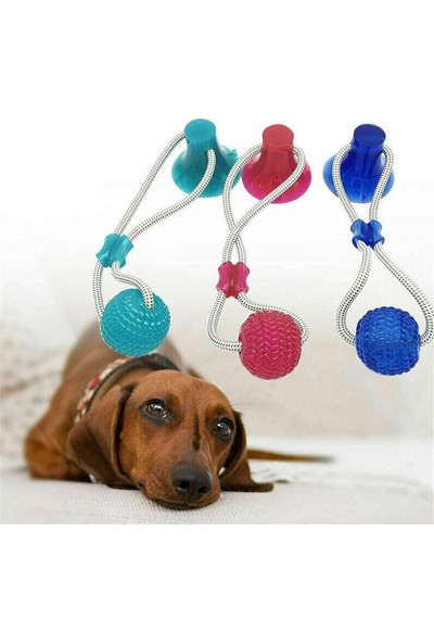 Rüzgar Vantuzlu Köpek Diş Temizleme ve Eğlence Oyuncağı Rüzgar Vantuzlu Köpek Diş Temizleme ve Eğlence Oyuncağı
