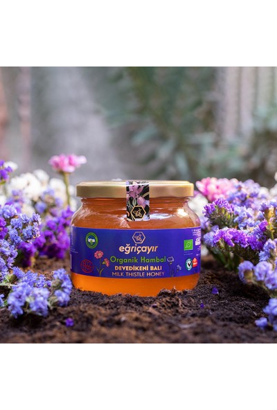 Eğriçayır Organik Devedikeni Balı 450 gr