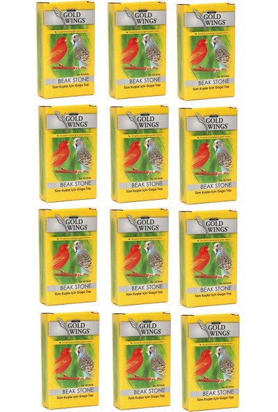 Gold Wings Classic Gaga Taşı (12 Adet)