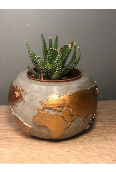 Talya Art Desing Dünya Sukulent Saksı Mumluk