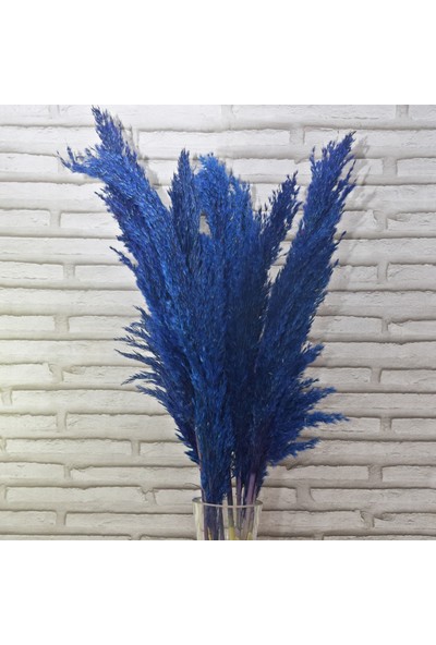 Mimoza Mavi Pampas 10 Adet 100 cm Mimoza Mavi Pampas 10 Adet 100 cm