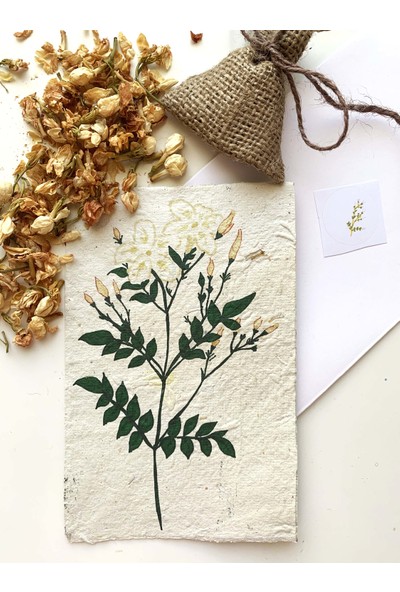 Kemahlı Design Yasemin Kokulu Kartpostal Seti Kemahlı Design Yasemin Kokulu Kartpostal Seti