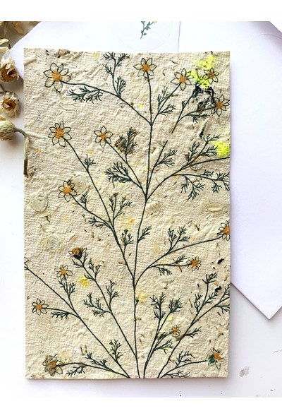Kemahlı Design Papatya Kokulu Kartpostal Seti Kemahlı Design Papatya Kokulu Kartpostal Seti