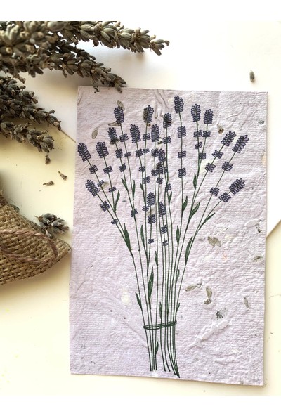 Kemahlı Design Lavanta Kokulu Kartpostal Seti Kemahlı Design Lavanta Kokulu Kartpostal Seti