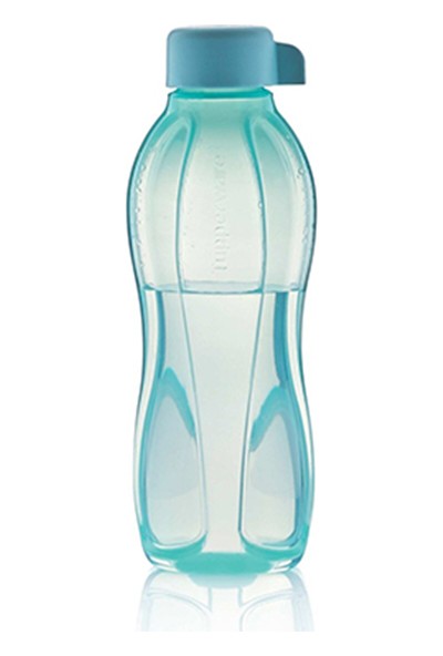 Tupperware Eko Şişe Vidalı Kapak 500 ml Açık Mavi Kapak Buz Mavi Tupperware Eko Şişe Vidalı Kapak 500 ml Açık Mavi Kapak Buz Mavi