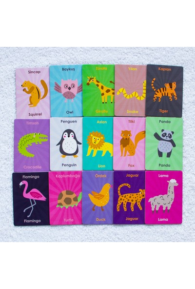 JUNO PAPER Juno Öğrenim Kartları - Hayvanlar JUNO PAPER Juno Öğrenim Kartları - Hayvanlar