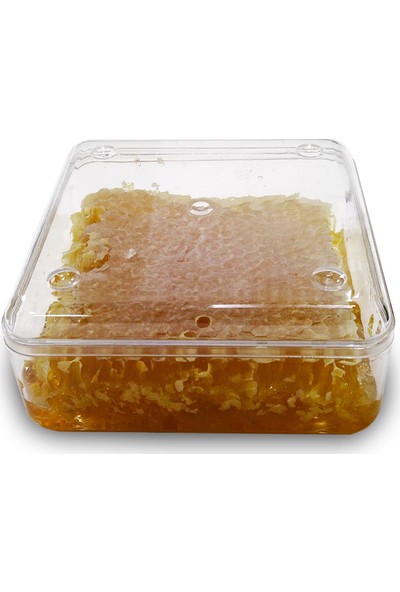 Organik AVM Elazığ Organik Petek Bal 2 kg Organik AVM Elazığ Organik Petek Bal 2 kg