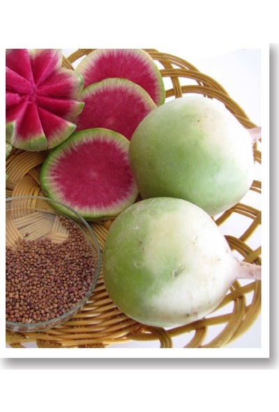 Mito Farm Çelebi Çin Turpu Tohumu 10 Gr. Mito Farm Çelebi Çin Turpu Tohumu 10 Gr.