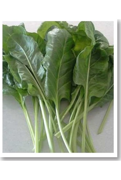 Mito Farm Pazı Tohumu 25 Gr. Mito Farm Pazı Tohumu 25 Gr.