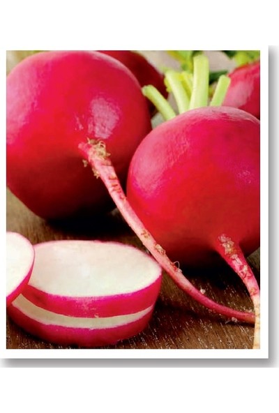 Mito Farm Antep Kırmızı Iri Turp Tohumu 25 Gr. Mito Farm Antep Kırmızı Iri Turp Tohumu 25 Gr.