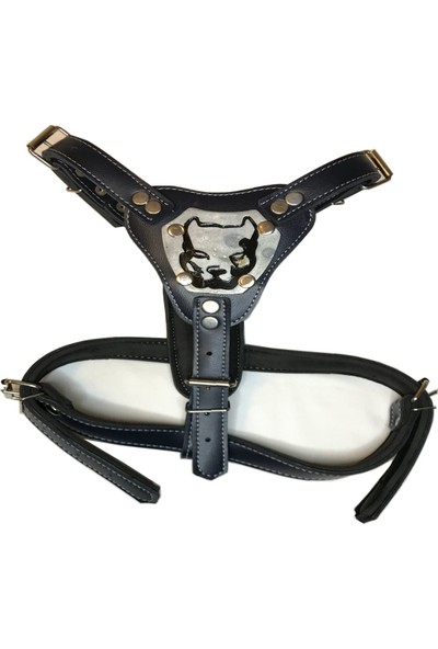 Mamanburada Göğüs Tasması Pitbull Armalı