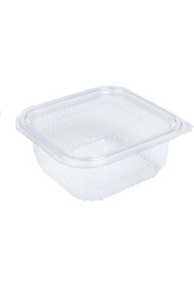 Pack Plastik Sızdırmaz Kap 250 gr 100 'lü