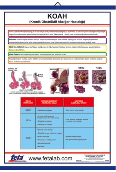 Edulab Koah Eğitim Plakası