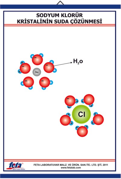 Edulab Tuz Kristalinin Suda Çözünmesi Levhası 70 x 100 cm