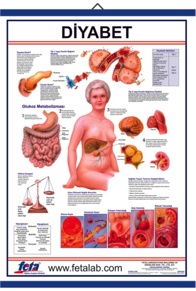 Edulab Diyabet Levhası