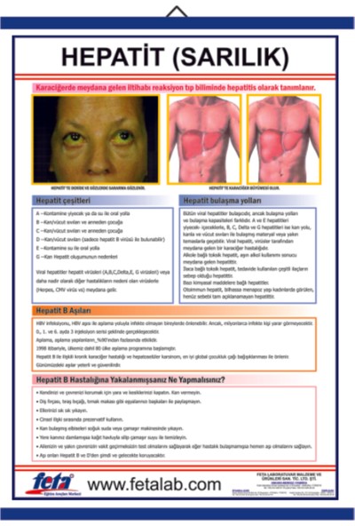 Edulab Hepatit Eğitim Plakası