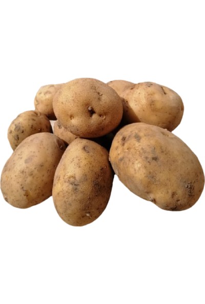 Dsa Tarim Taze Patates 5 kg