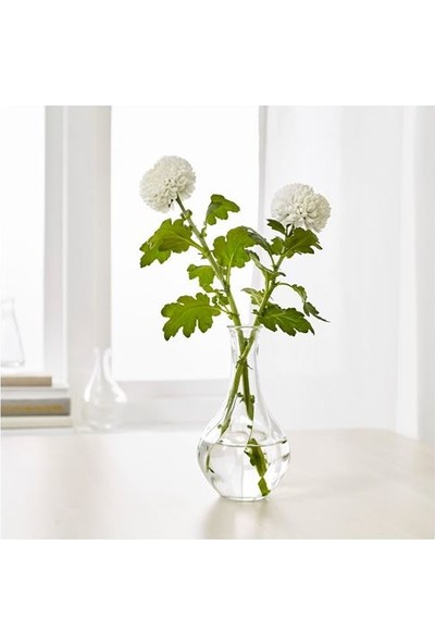 Hestore Ikea Viljestark Cam Vazo