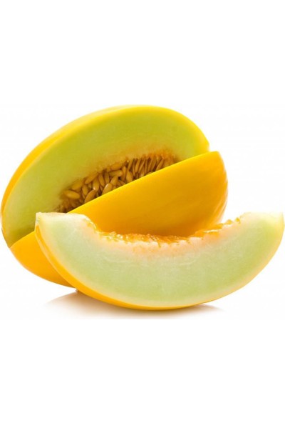 Murat Tohumculuk Murat Tohum Iri Bal Ananas Kavunu Tohumu 15 Adet Tohum Murat Tohumculuk Murat Tohum Iri Bal Ananas Kavunu Tohumu 15 Adet Tohum