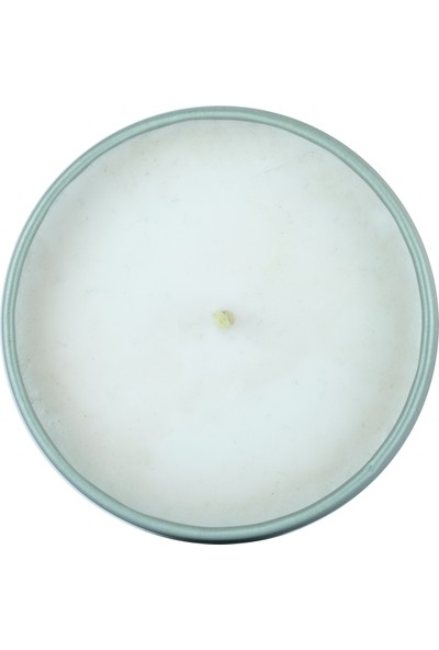 XX Karışık Meyve Kokulu Manolya Çiçeği Gümüş Teneke Soya Mumu